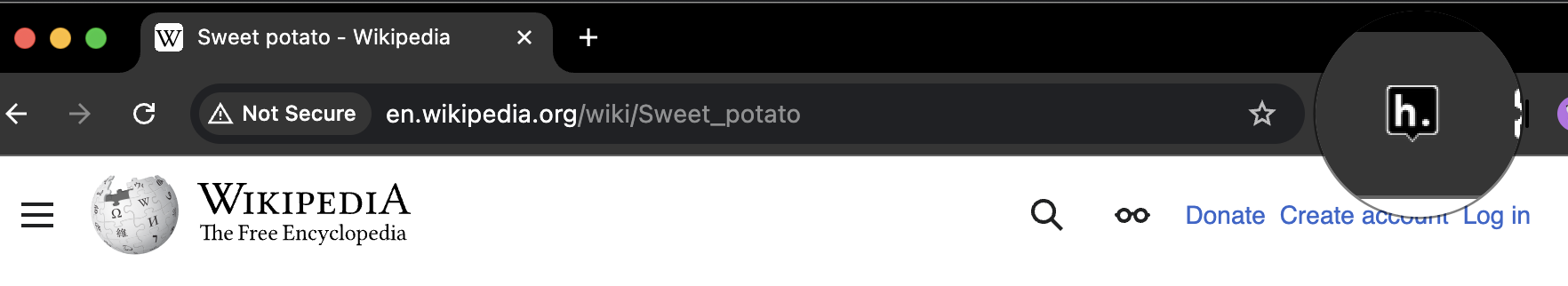 Annotation Basics : Hypothesis